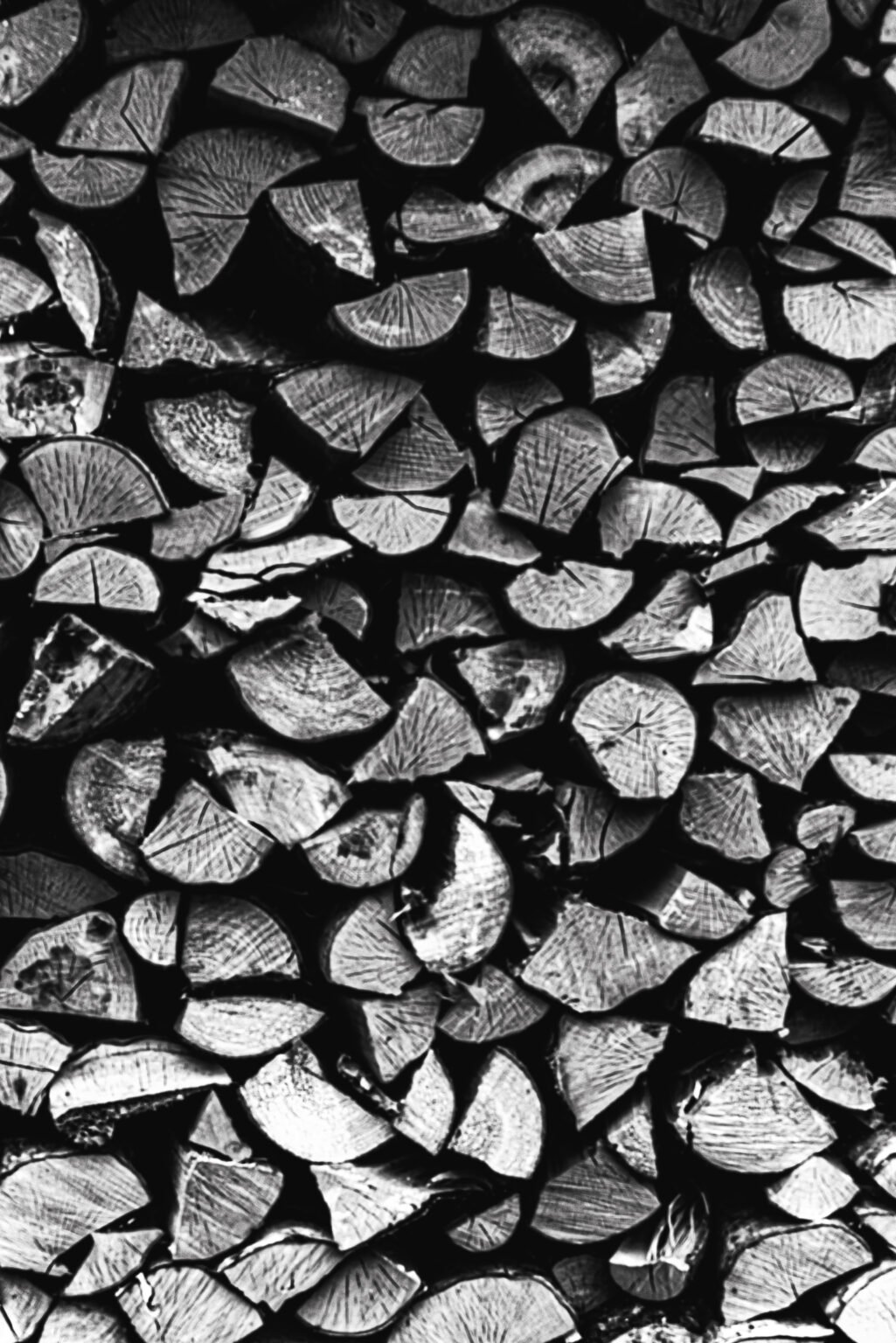 Biochar Carbon Credit Estimator - Foresttwin